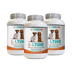 MY LUCKY PETS LLC Amino acids for Dogs - Dog LYSINE Powder - Pure Powder Form - Immune System Support - Vet Recommended - Dog Food enzymes - 3 Bottle (24oz 680.4 Grams)