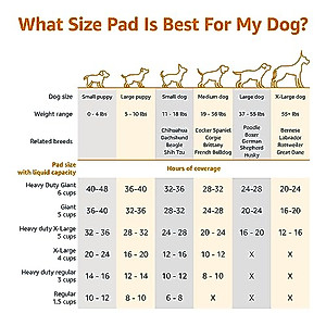 Amazon Basics Dog and Puppy Pee Pads with Leak-Proof Quick-Dry Design for Potty Training, Standard Absorbency, Regular Size, 22 x 22 Inches, Pack of 100, Blue & White