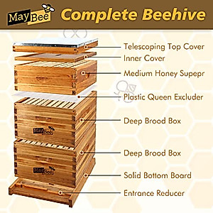 10-Frame Langstroth Beehive Dipped in 100% Beeswax, Complete Bee Hives and Supplies Starter Kit Includes 2 Deep Hive Bee Box and 1 Bee Hive Super with Beehive Frames and Foundation