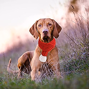 Customize Dog Collar Dog Solid Knitted Scarf Christmas Pet Headdress Cat Clothes Accessories Pet Knitted Scarves Scarf Warm Soft Knitting Dog Collar with Metal Buckle