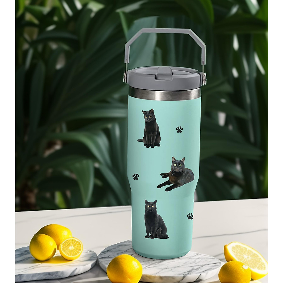 Cat Tumbler for Cat Owners, 30oz Stainless Steel Vacuum Insulated Water Bottle (Cat-Seaform)