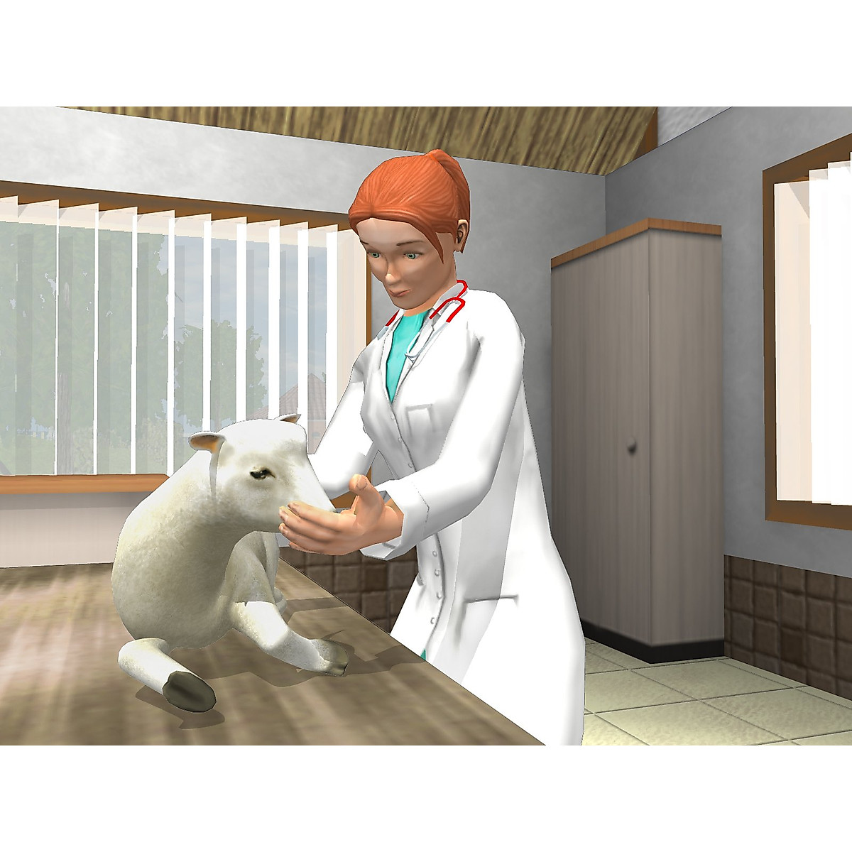 My Vet Practice 3D, auf dem Land [3DS]