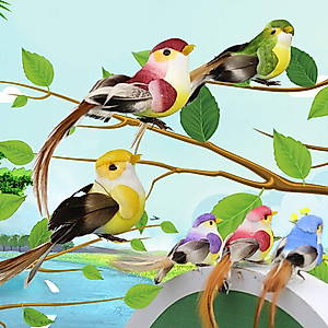 Oumefar 12Pcs Beautiful Simulated Birds Ornament,Lovely Artificial Simulation Foam Bird for Statues Tree Lawn Home Garden Decoration