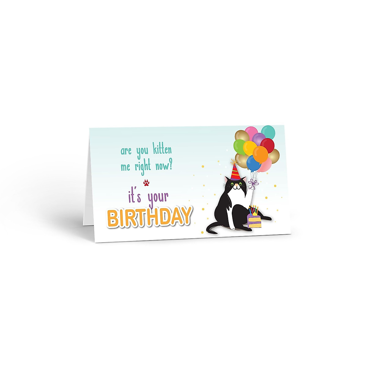 Stonehouse Collections | Happy Birthday Cat Table Tent Cards | Cat Lover Name Cards | Multi-Purpose, Table Decorations for Birthday Party | 25 Count (Tuxedo Cat Birthday)