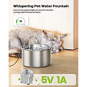 AOOGITF Cat Water Fountain, 304 Stainless Steel Pet Water Fountain, 24/7 Keep The Water Fresh, 74oz Capacity, Ultra-Quiet, No Sputter, Compact, Easy Cleaning, Suit for Pets