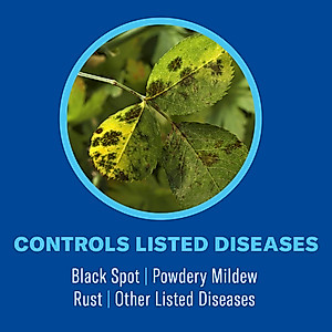 BioAdvanced 3-in-1 Insect, Disease & Plant Mite Control, Ready-to-Use, 24 FOZ
