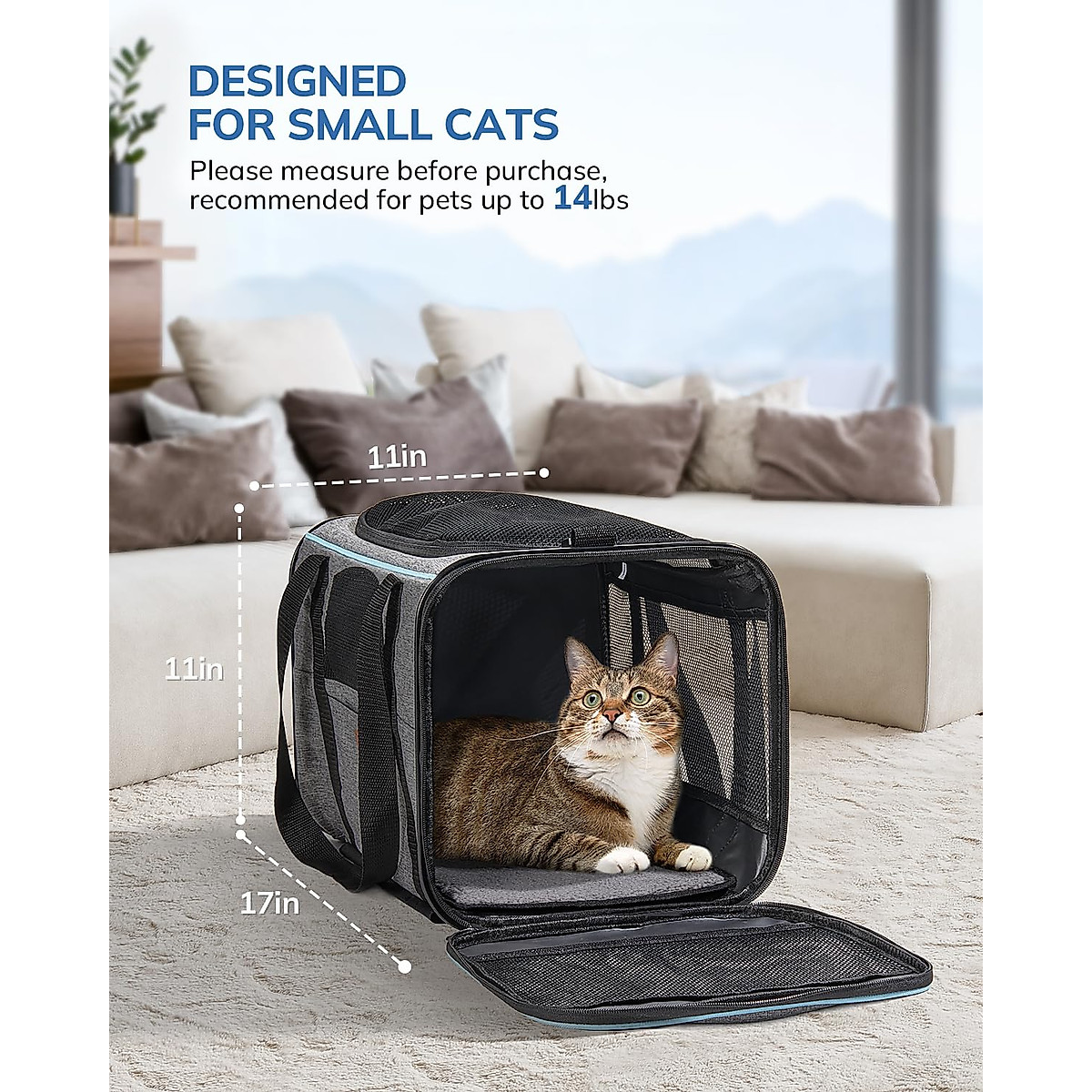 Morpilot Cat and Dog Carrier with Detachable Wheels - Airline Approved Rolling Carrier for Small Pets and Cats - Foldable Pet Travel Bag