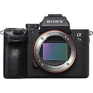 Sony Alpha a7 III Mirrorless Camera with 28-70mm Lens ILCE7M3K/B with Soft Bag, 64GB Memory Card, Card Reader, Plus Essential Accessories