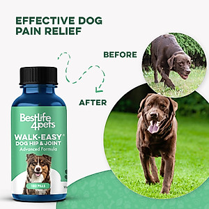 Advanced Hip and Joint Supplement for Dogs - Natural Extra Strength Dog Arthritis Pain Relief & Anti Inflammatory for Dogs Helps Limping, Mobility Issues, Hip Dysplasia, ACL Tears - 180 Tiny Pills