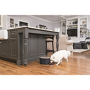 PetSafe 6 Meal Programmable Pet Food Dispenser, Automatic Dog and Cat Feeder - Dry Kibble or Semi-Moist Pet Food, Slow Feed Portion Control (6 Cup/48 Ounce Capacity), Tamper-Resistant, Sleep Mode Blue