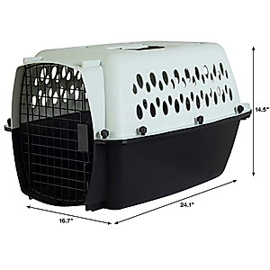 ASPEN PET Fashion Dog Kennel, Various Sizes