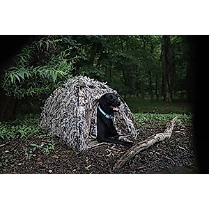North Mountain Gear Popup Dog Blind - Wetland Camouflage