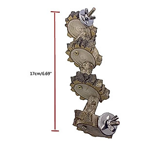 EastVita 17cm 4 Steps Ladder Bird Perch Platform Natural Wood Standing Playground for Parakeet Large Parrot Cage Climbing Toy