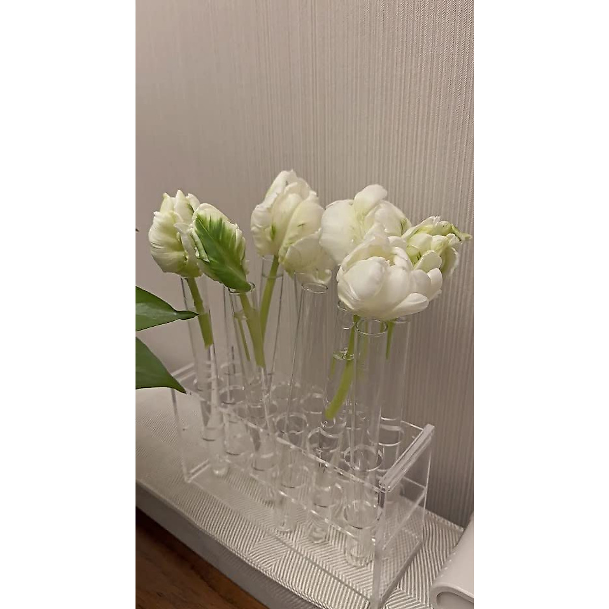 Othmro 2Pcs 40mm Clear Test Tube Racks 6Positions Plastic Centrifuge Tube Rack Holders Plastic Stand Storing Bracket Rack Test Tube Holders for Labortory Holder Party Favors Decoration Transparent