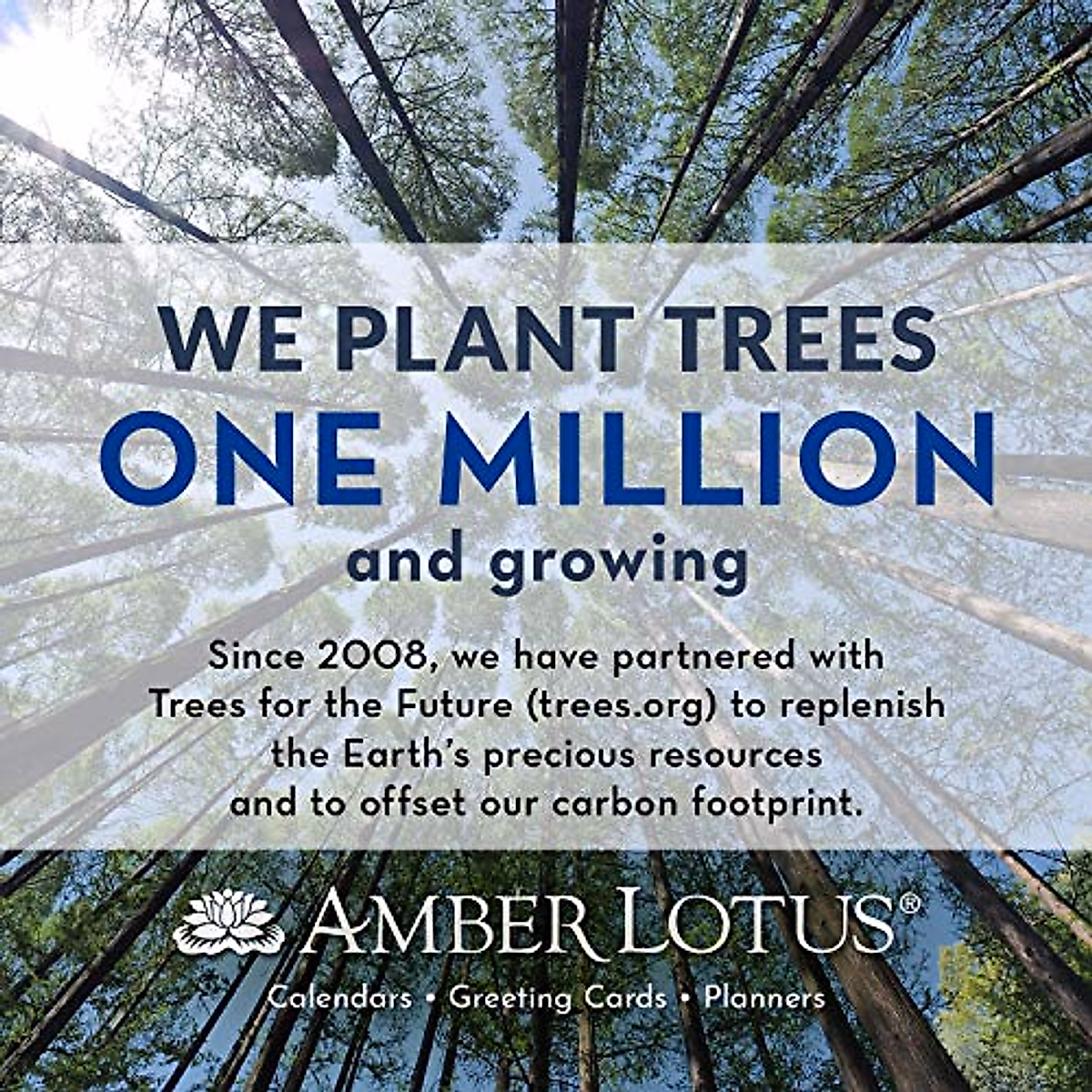 Sacred Celtic Sites 2021 Calendar: And Other Places of Power in Britain and Ireland