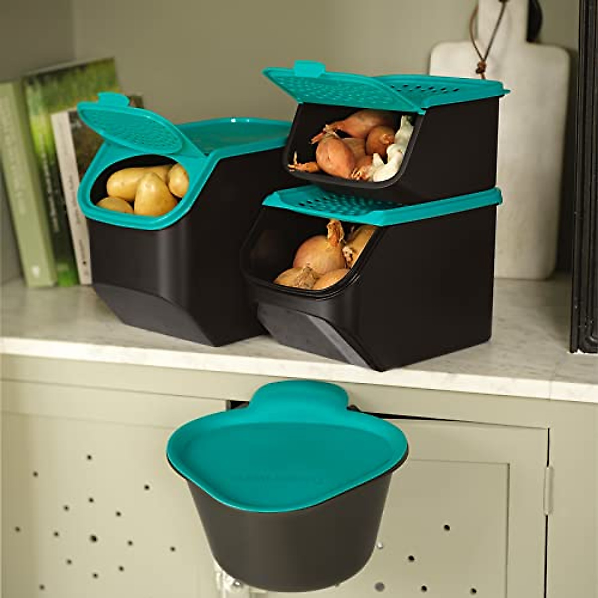 NEW TUPPERWARE MODULAR MATES GARLIC STORAGE 2.3 KG (Single Pack)