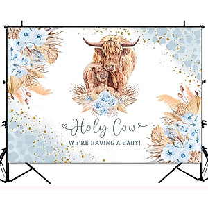 Ayayiya Highland Cow Baby Shower Backdrop Boy Holy Cow We are Having a Baby Farm Cow Party Decorations Boho Blue Highland Cattle Baby Shower Backdrops Cake Table Banner Photography Backdground 7x5ft