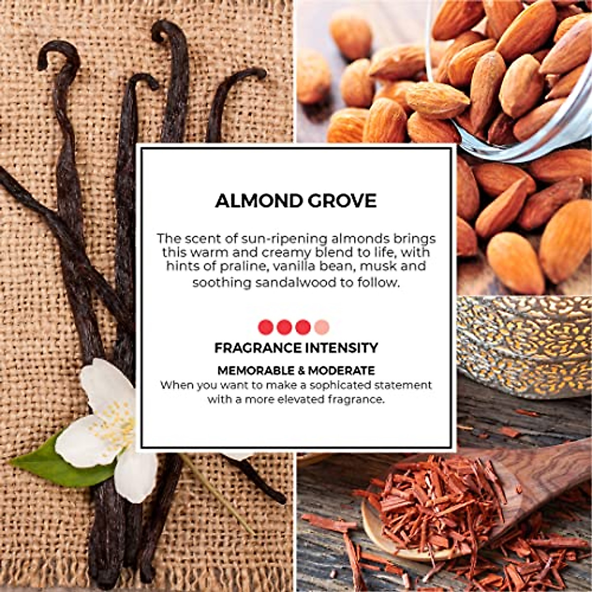 PartyLite Almond Grove 3-Wick Jar Candle, Highly Fragranced Clean Burning Glass Candle, 25-45 Hours Burn Time (Almond Grove)