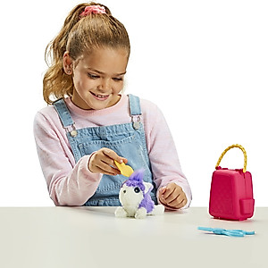 Little Live Pets | Scruff-a-Luvs | Cutie Cuts Lil Snippers Twin Pack | Cut Fur, Reveal, Groom & Love Plush Rescue pet - Styles May Vary