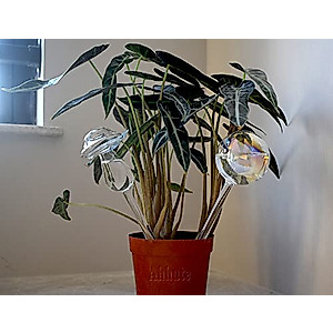 Ahhute 3 Pack Plant Watering Globes - Iridescent Rainbow Gradient Color Glass Watering Globes - Watering Bulbs for Outdoor Plants Indoor Plants - Plant Self Watering Devices