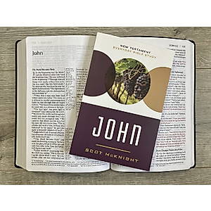 John: Responding to the Incomparable Story of Jesus (New Testament Everyday Bible Study Series)