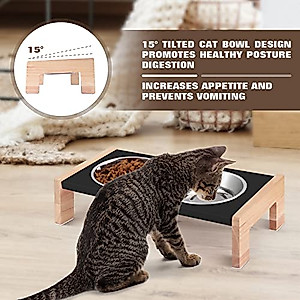 PEEKAB Raised Cat Bowls Elevated Small Dog Bowls,15°Tilted Raised Solid Wood Bowl Holder with 2 Stainless Steel Cat Bowls for Food and Water,Pet Bowls for Indoor Cats and Puppies Small Sized Dogs