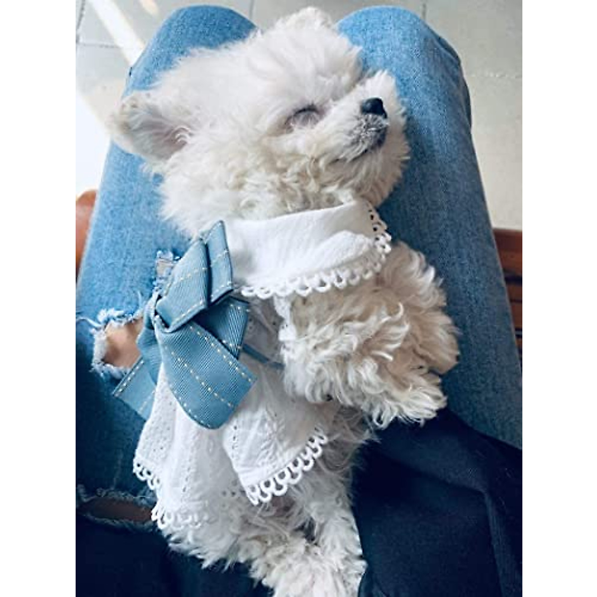 Jingmezhi Pet Cotton Embroidered Back Bowknot Hollow Out Dresses for Cat Dog Daily Clothing (S+(6.6lb~7.7lb))