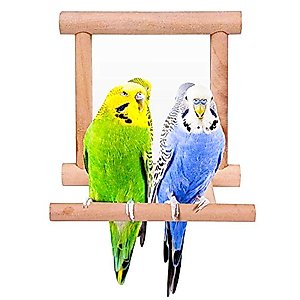 Blessed family Bird Parakeet Mirror for Cage,Parrot Perch Stand,Wooden Hummingbird Swing Toy,Parakeet Accessories for Cockatiels Conure Finch Lovebird Canary African Grey Macaw