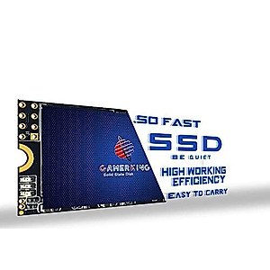 GAMERKING M.2 2242 SSD 256GB 3D NAND TLC SATA III 6 Gb/s, Internal Solid State Drive - Compatible with Desktop PC Laptop (2242 256GB)
