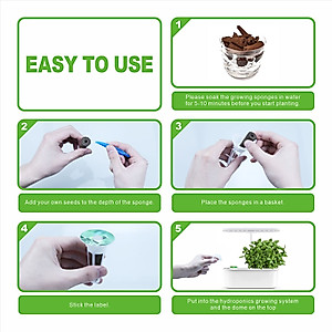 XFVFXZZ 121 Pcs Seed Pods Kit Compatible with Aerogarden, Suitable for Hydroponics Growing System for a Variety of Plants, Outdoor and Indoor Hydroponics Supplies