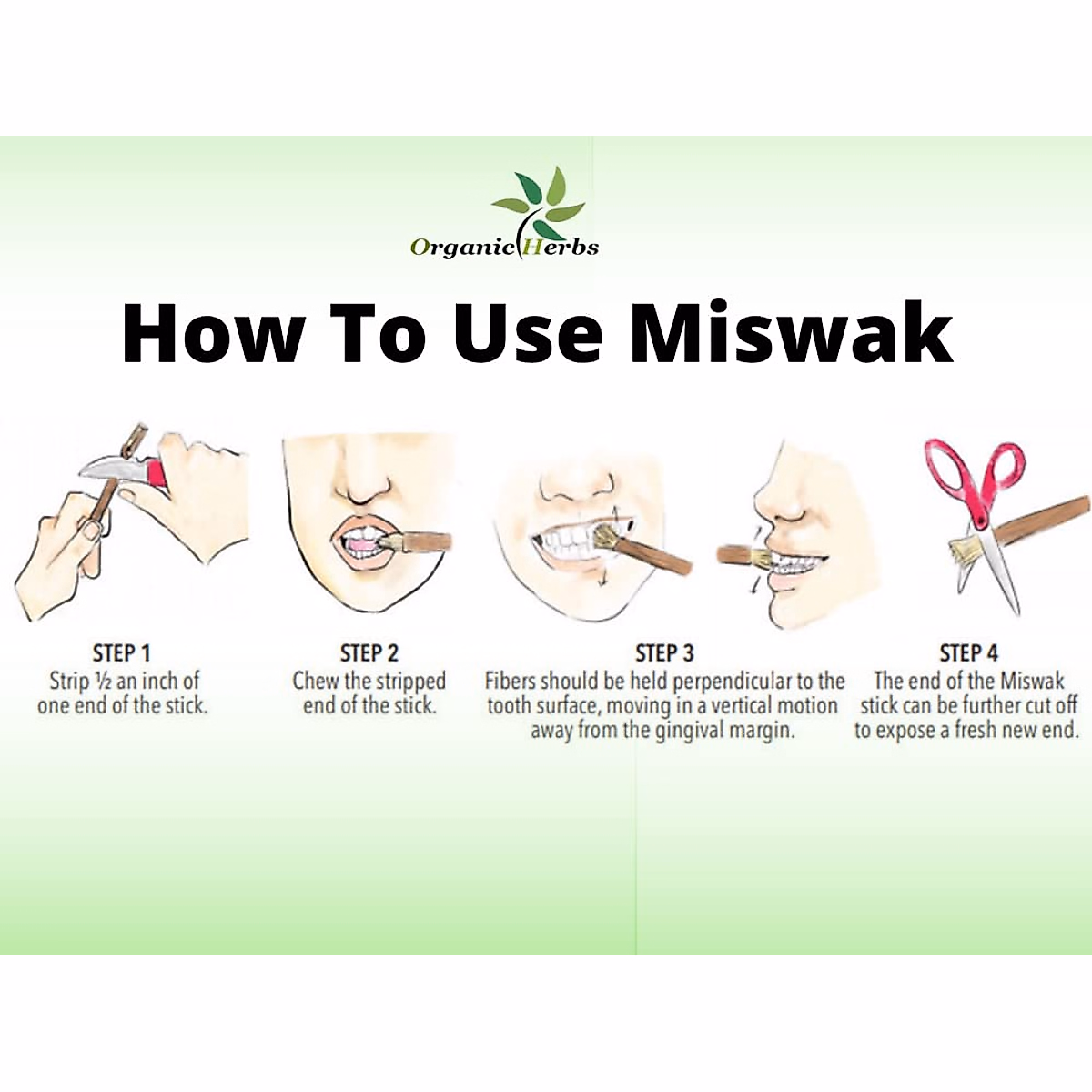 Organic Herbs Traditional Natural Miswak (sewak) Peelu Chewing Stick Toothbrush for Whiter Teeth -10 Pc