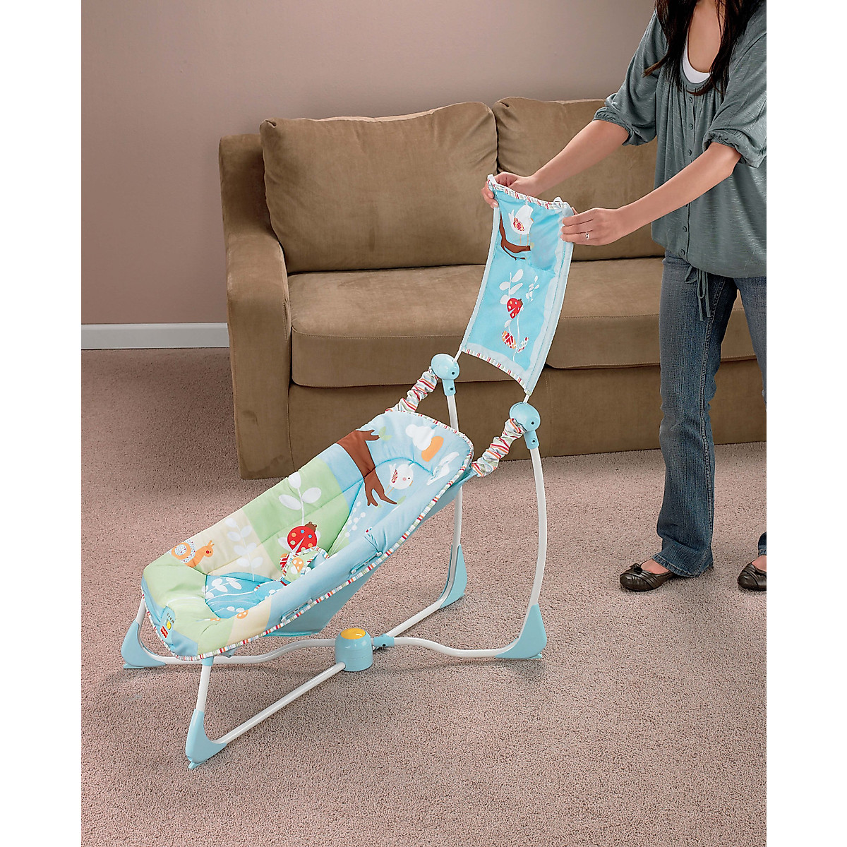 Fisher-Price Soothe & Go Bouncy Seat