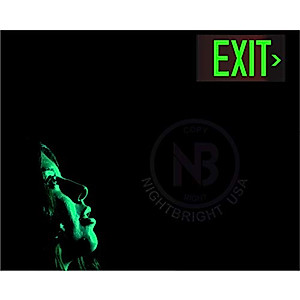 Photoluminescent Exit Sign Red - Pack of 2 - Aluminum - UL 924 Code Approved/IBC/NFPA 101 / NightBright USA Part Number ULR-050 II