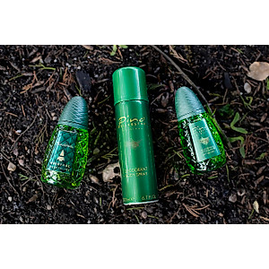 Pino Silvestre Original By Pino Silvestre For Men - A Men's Eau De Toilette Cologne Perfume Spray With A Million Dollar Fragrance - An Extreme Pheromone For The Classic Man In Your Life - 4.2 Oz