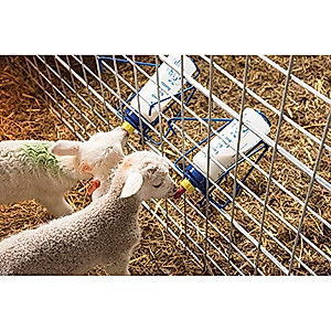 Premier 1 Wide Mouth Lamb 'N' Kid Feeding Bottle Rack