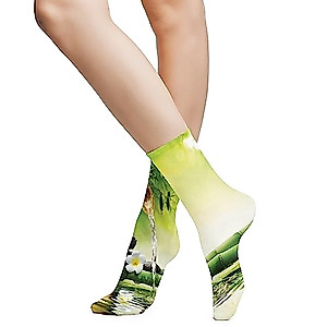 feprena Spa Funny Compression Socks Women and Men,Basalt Stones Theraphy Relaxing,Best for Circulation,Running,Athletic,Nurse,Travel,Multicolor, -12 inch