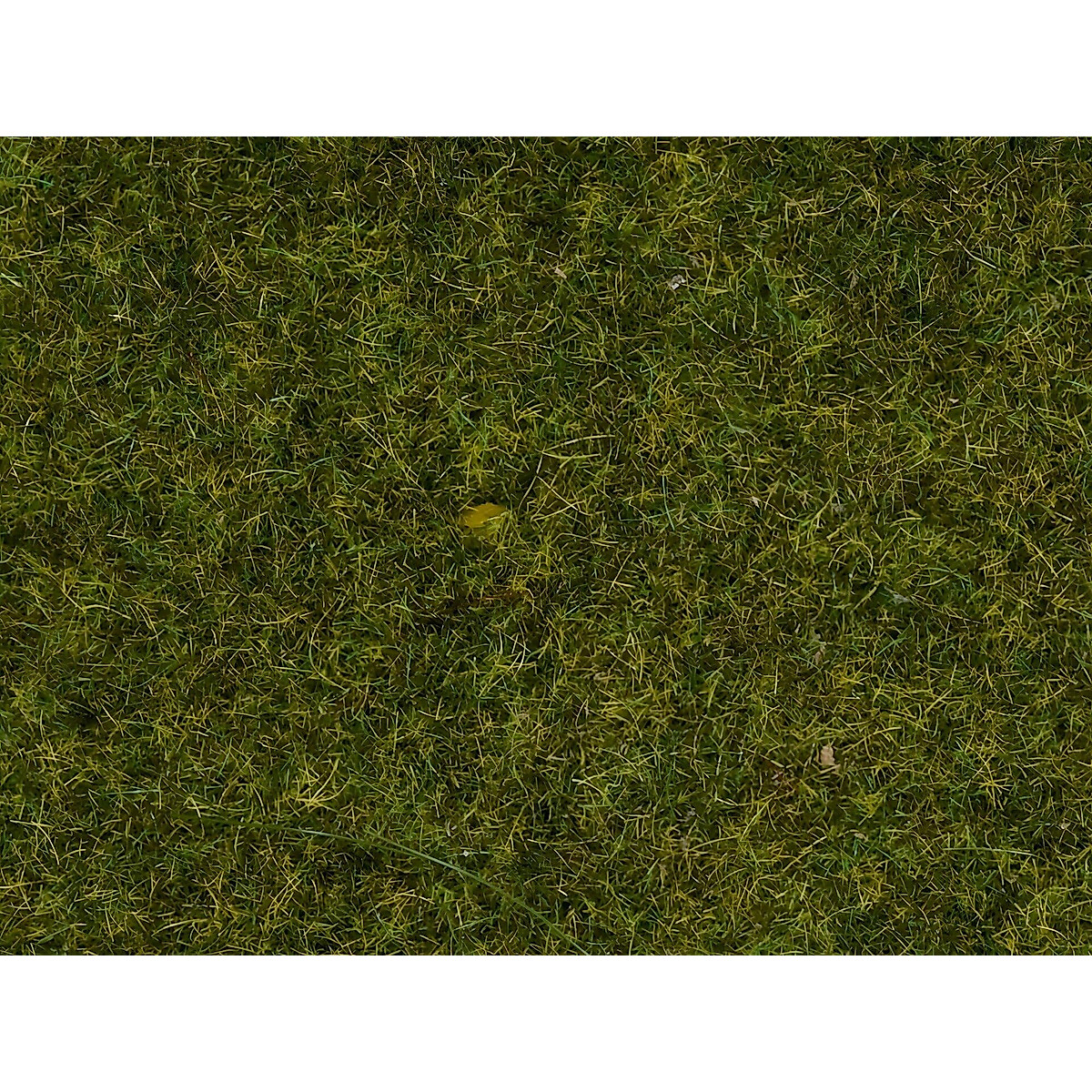 Noch 8312 Scatter Grass Meadow 20g G,0,H0,TT,N,Z Scale