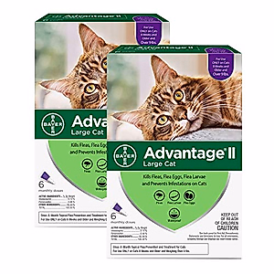 Bayer Advantage II Flea Prevention for Large Cats 6 Doses, 6 Months Supply 2 Pack Bundle