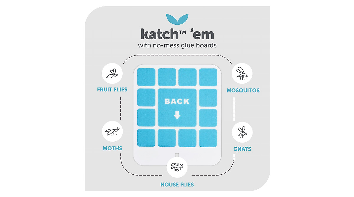 Katchy Plug-in Glue Board Refills (8 Pack) for a Buzz-Free Home
