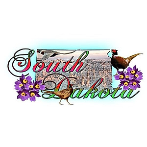 CafePress South Dakota Mug Ceramic Coffee Mug, Tea Cup 11 oz