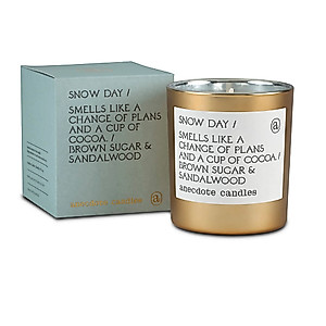Anecdote Candles - Holiday Collection - Snow Day Tumbler Candle – Brown Sugar and Sandalwood – Coconut Soy Wax – Funny Non Toxic Scented Decorative Candles for Women Men and Home – 7.8 Ounces