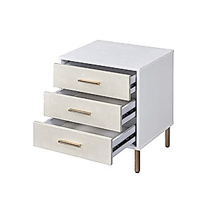 Acme Myles Wooden Storage Nightstand in White and Champagne and Gold