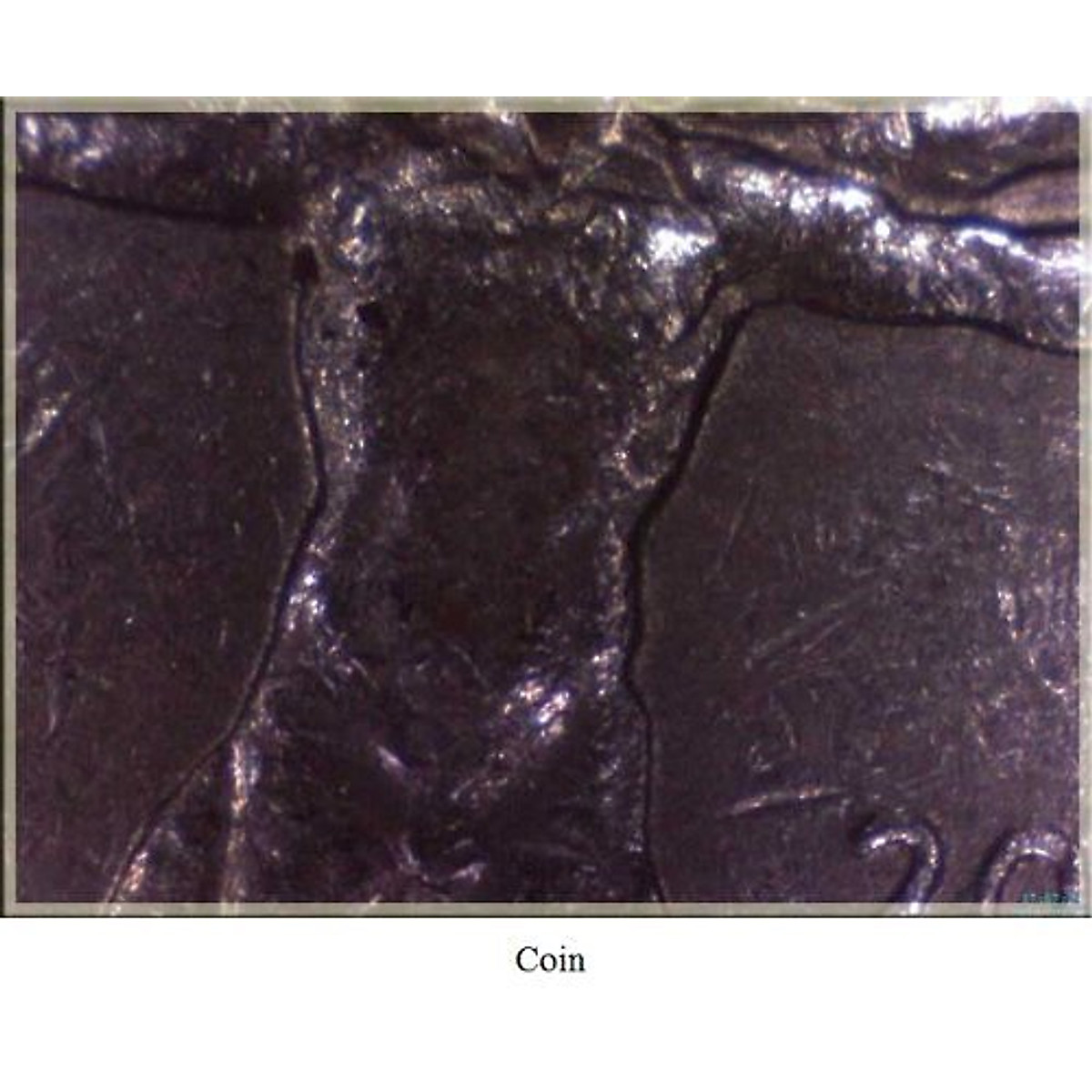 Firefly DE350 Wireless Polarized Handheld Digital Dermatoscope/Microscope