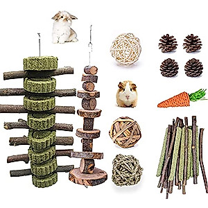 Fansisco Rabbit Chew Toys, Natural Apple Wood and Drying Grass Cake and Activity Balls for Rabbits, Chinchillas, Guinea Pigs, Hamsters Chewing Playing Improve Dental Health (style1)