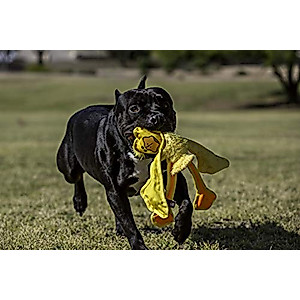 Multipet Skele Duck Dog Rope Toy - Nylon Tug of War - Squeaky Toy for All Dogs - for Playing Toss & Fetch - Cute Dog Pet Toy (15", Yellow)