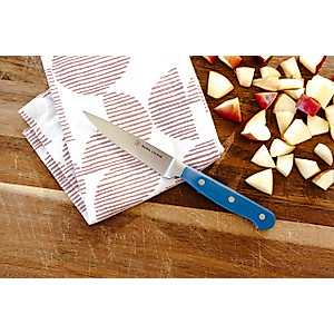 DURA LIVING 3.5 Inch Paring Knife – Essential High Carbon Stainless Steel, Razor-Sharp, Multipurpose Small Kitchen Knife, Ergonomic Handle, Perfect for Precision Tasks, Royal Blue