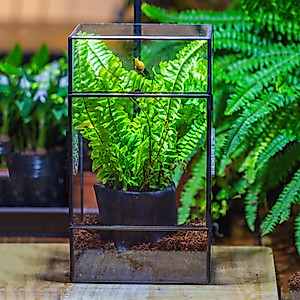 NCYP Small Glass Terrarium with 3 Vent Holes for Large Jumping Spider - 5.1" x 3.9" x 9" - Front Opening Door Insects Enclosure Habitat, Rectangle Black - Holes Diameter 0.12" (Terrarium Only)