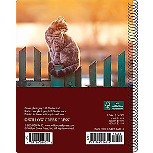 What Cats Teach Us 2021 Engagement Calendar