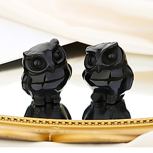 QINJIEJIE Black Obsidian Crystals Owl Figurines Natural Carved Stone Decor Polished Gemstone Statue Home Desk Gem Guardian Sculpture Room House Office Decorations Spiritual Owl Gifts for Women Men
