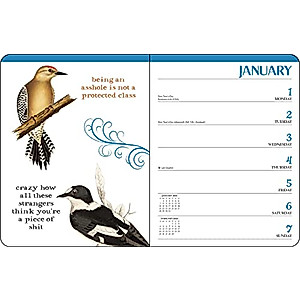 Effin' Birds 12-Month 2024 Monthly/Weekly Planner Calendar